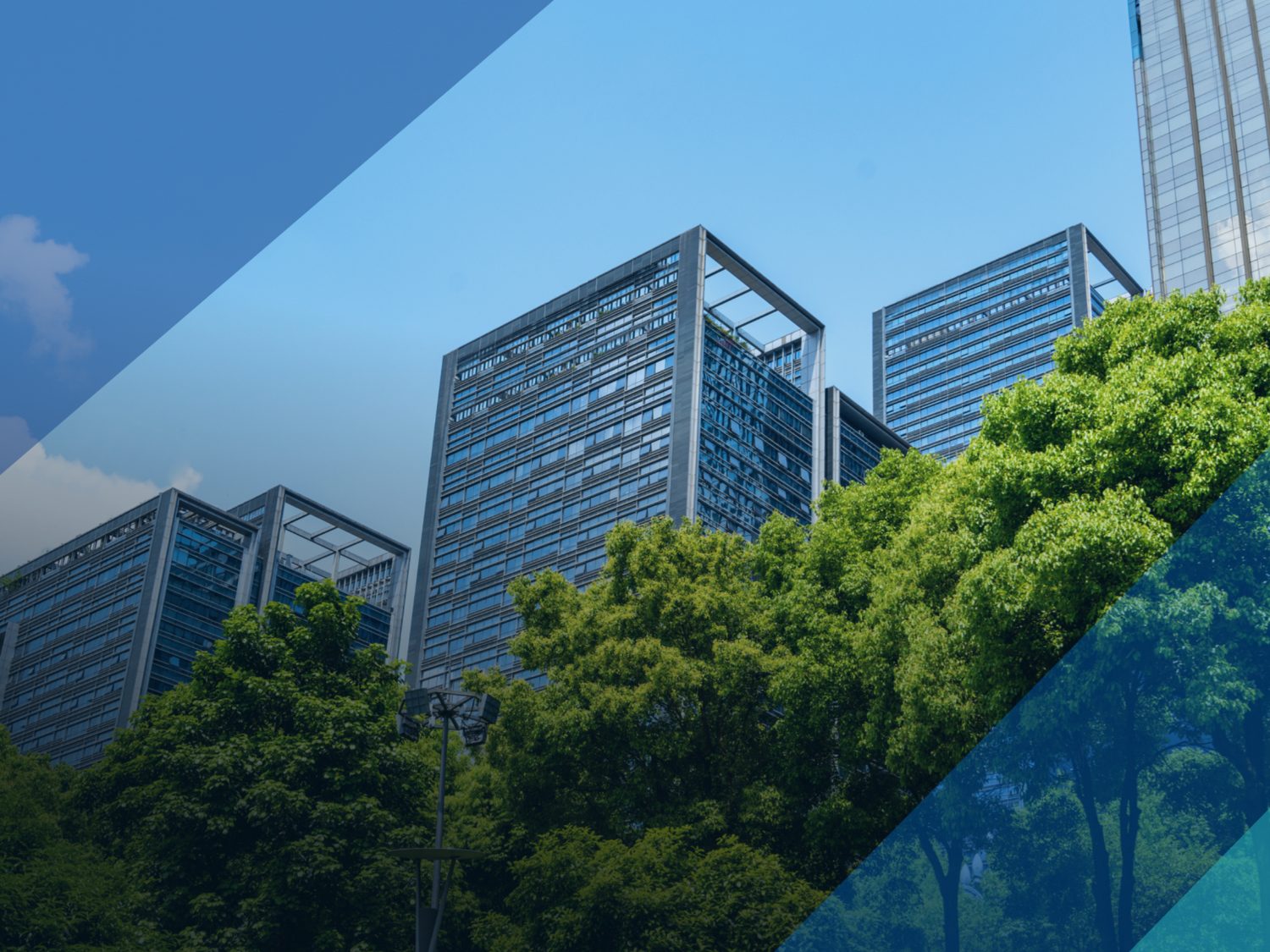 Finaxy Group | Finaxy fait évoluer sa gouvernance et accélère son ...