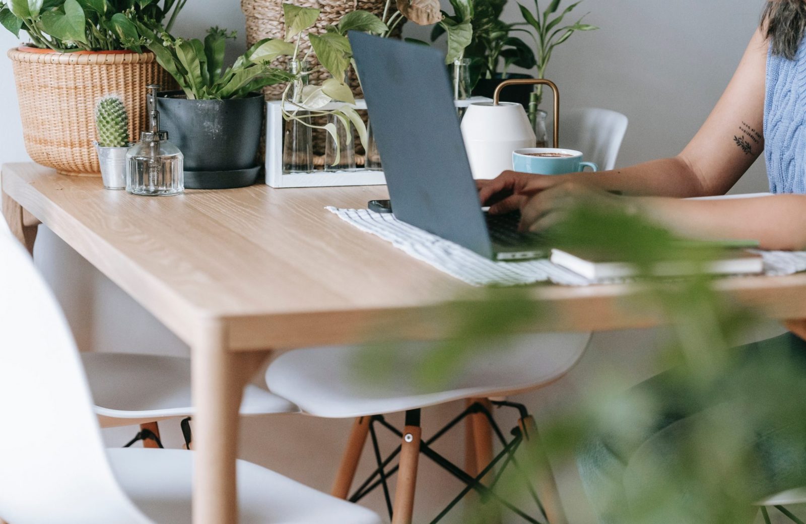 Finaxy Group | Anima Solutions - Finaxy Group