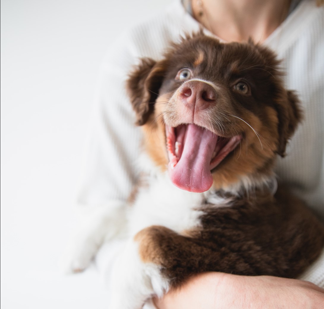 Finaxy Group | Anima Solutions - Finaxy Group