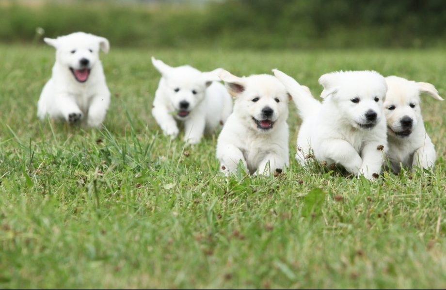 Finaxy Group | Assurance Particulier Archives - Finaxy Group