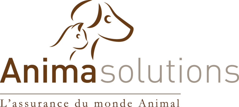 Finaxy Group | Notre histoire - Finaxy Group